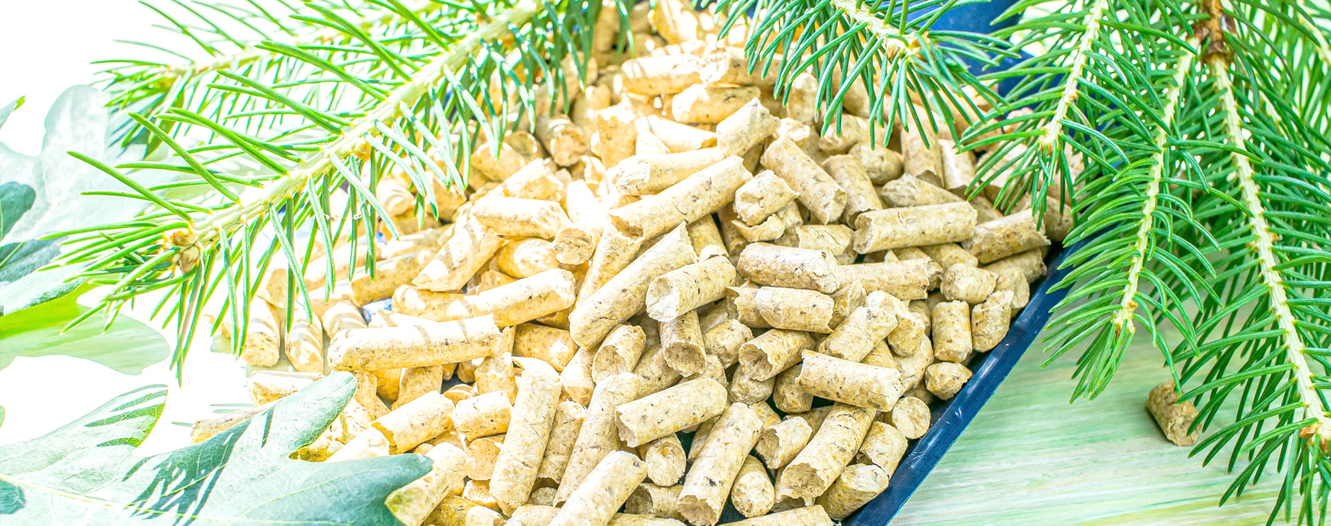 Sunpellets – Ciepło natury w Twoim domu